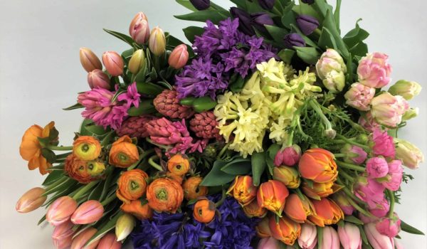 Wholesale Flowers, Bulk Flowers Washington - Cascade Floral Wholesale