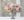 Types of Flowers Used in Floral Arrangements - Focals, Fillers, Line ...