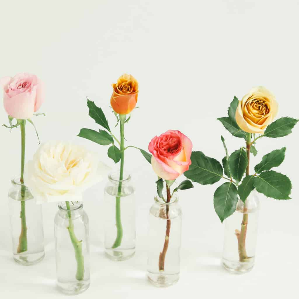 DIY Bulk Flower Delivery & Shipping - Cascade Floral Wholesale