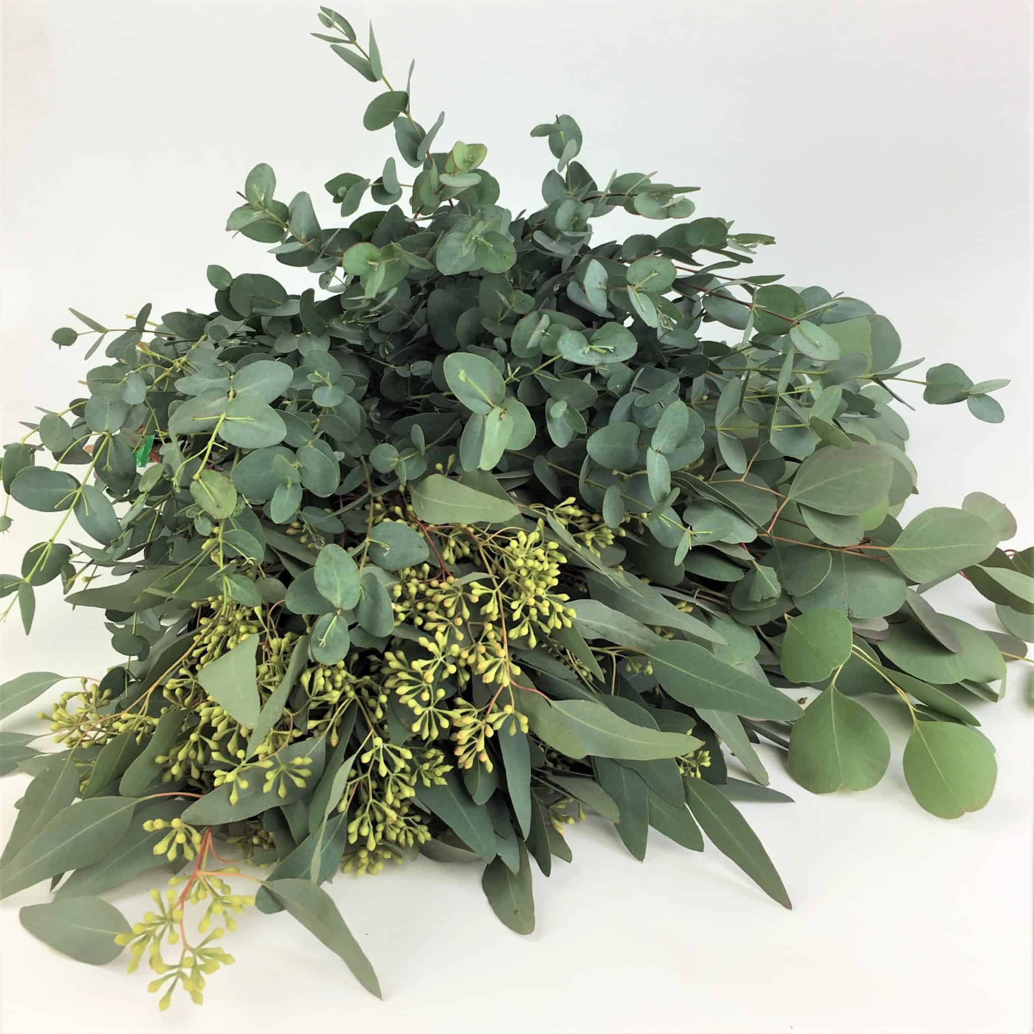 Bulk Greenery Delivery - Wholesale Greens by Cascade Floral Wholesale