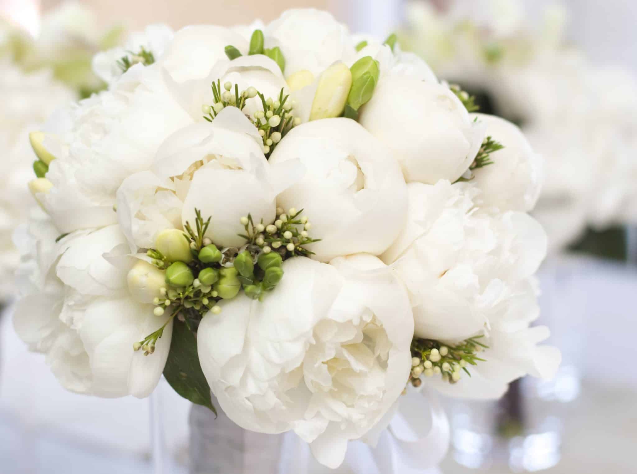 The Beauty of All-White Floral Arrangements - Cascade Floral Wholesale
