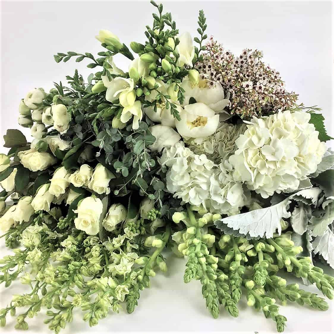 The Beauty of White Flowers - Cascade Floral Wholesale