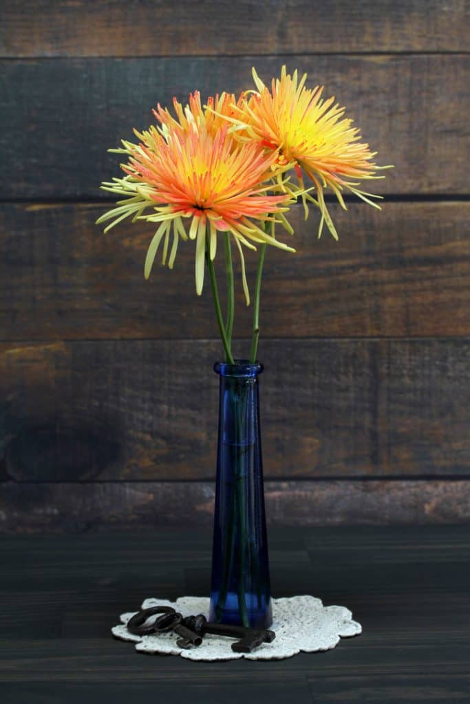 Why We Love Spider Mums - Cascade Floral Wholesale