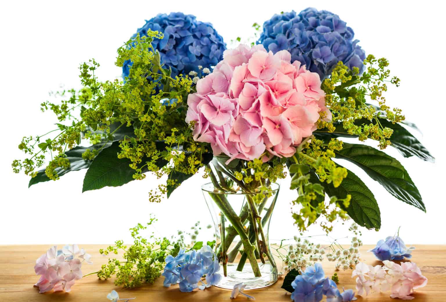 Tips for Creating Flower Arrangements with Hydrangeas - Cascade Floral ...