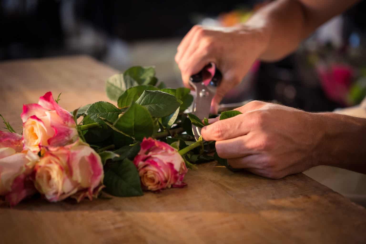 How to Arrange Roses - Cascade Floral Wholesale