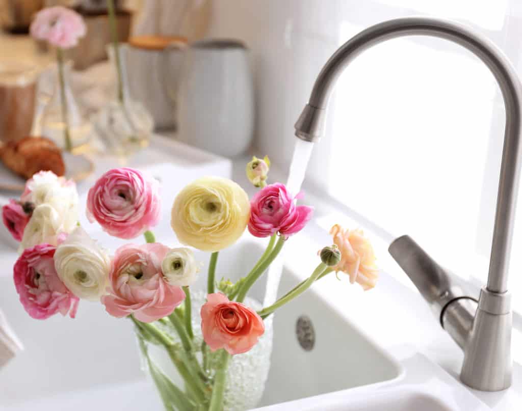 How to Arrange Ranunculus Blooms - Cascade Floral Wholesale