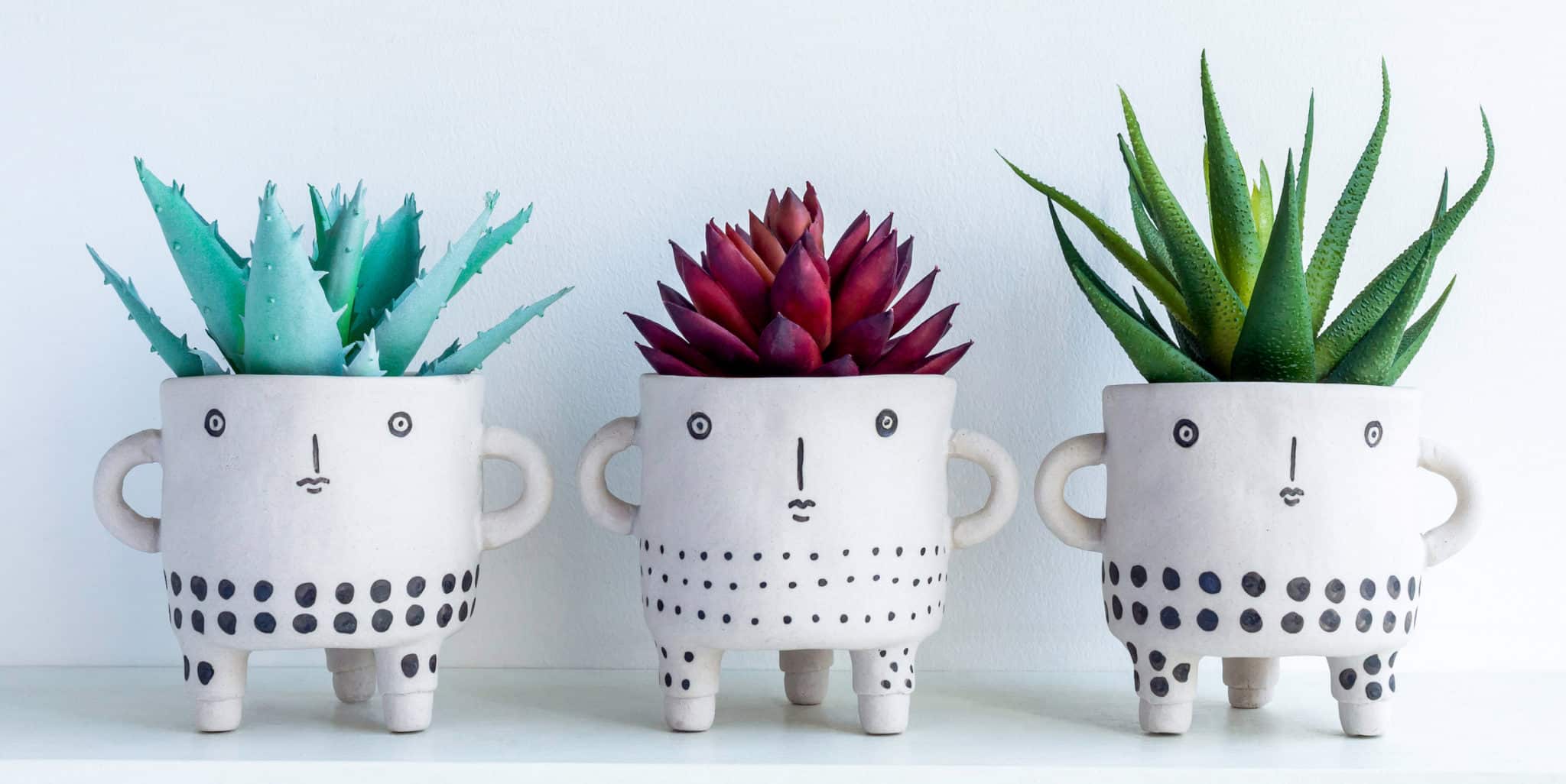 How to Decorate Your Home with Succulents - Cascade Floral Wholesale