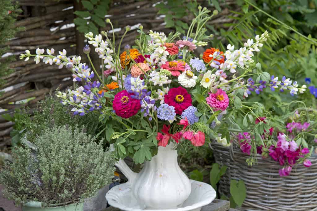 How to Create Stunning Floral Arrangements with Zinnias - Cascade ...