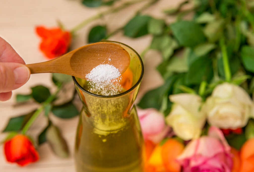 Flower Food: What Is It and Is It Important? - Cascade Floral Wholesale