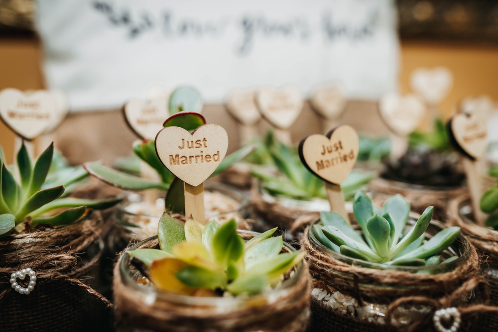 Freshen Your Events with Plants, Greenery, and Succulents - Cascade ...